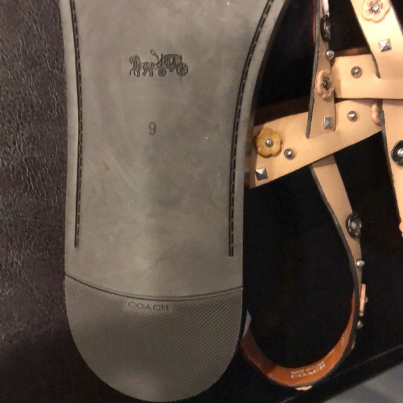 Coach | Shoes | Coach Tea Rose Floral Studded Thong Sandal Tan | Poshmark